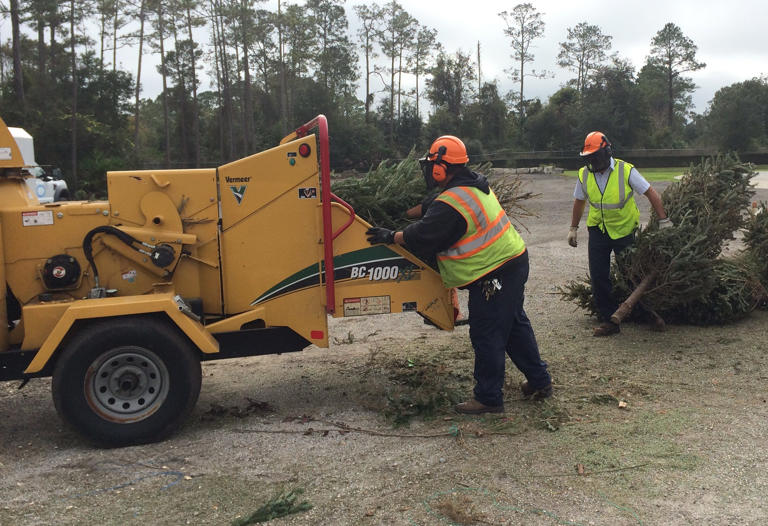 Ready for the weekend? 5 things to do in Daytona Beach, Flagler area