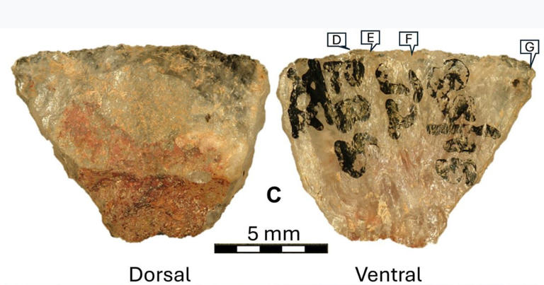 Researchers discovered poison on 60,000-year-old arrows in South Africa