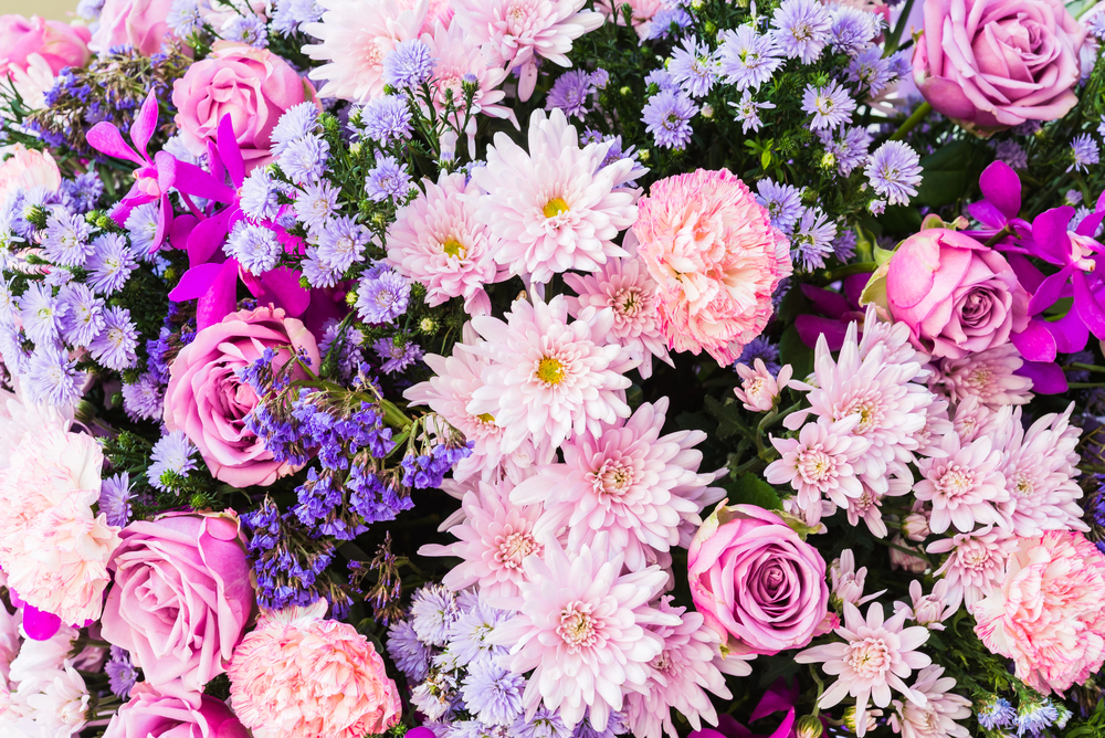 Flowers that only bloom at night