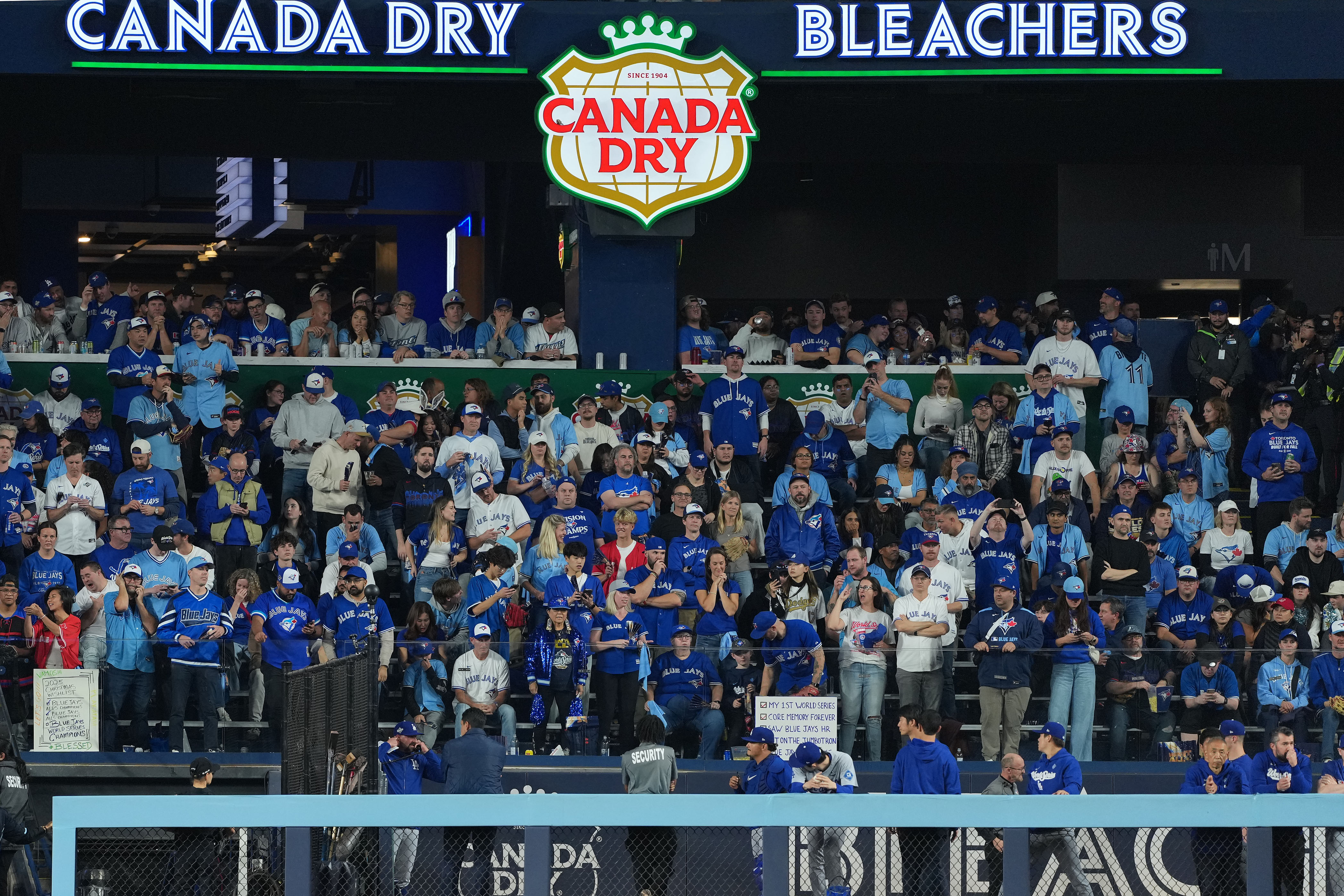 Question time: How did you become a Blue Jays fan?