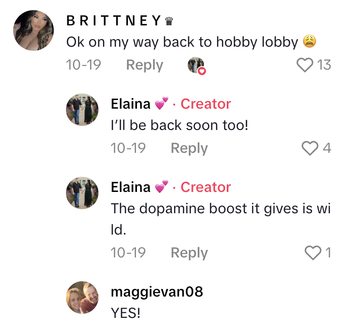 Customers showed off the Hobby Lobby pot that went viral for holiday ...