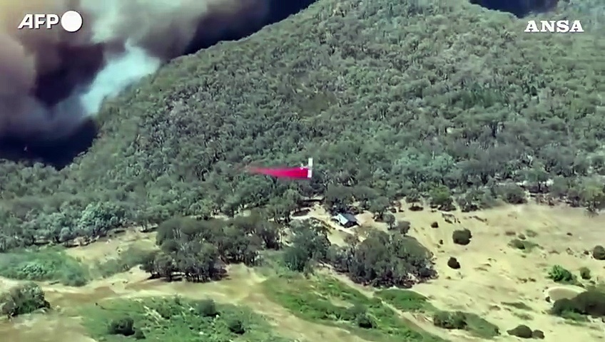 Incendi in Australia e Argentina, a fuoco migliaia di ettari di verde