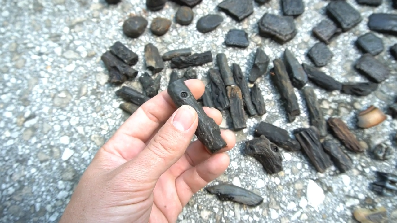 I found Ice Age fossils while diving in a Florida river