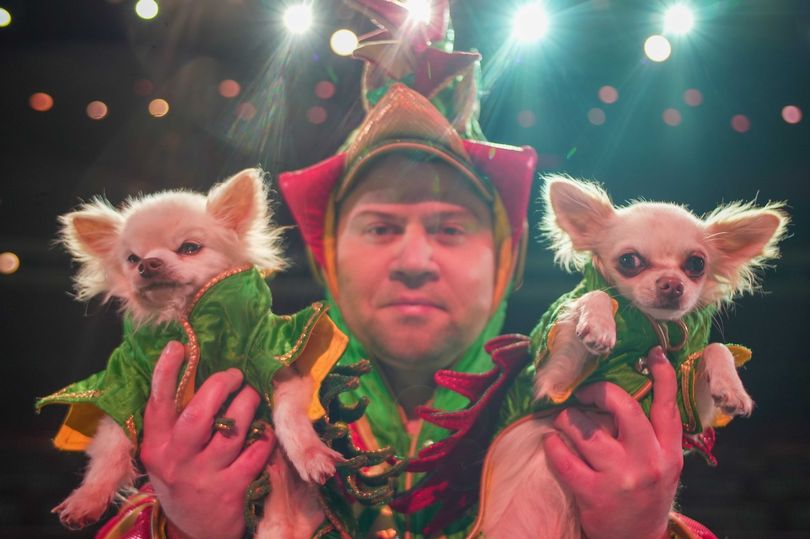 UK magician wants to be first entertainer to clone himself to continue ...