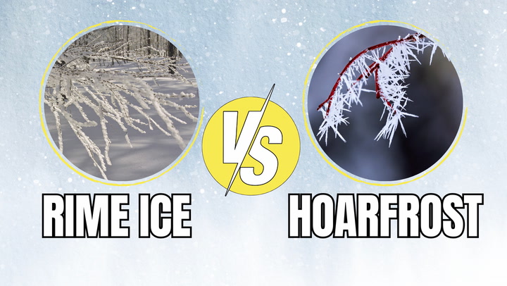 Rime ice vs. hoarfrost: Winter’s glittering wonders explained