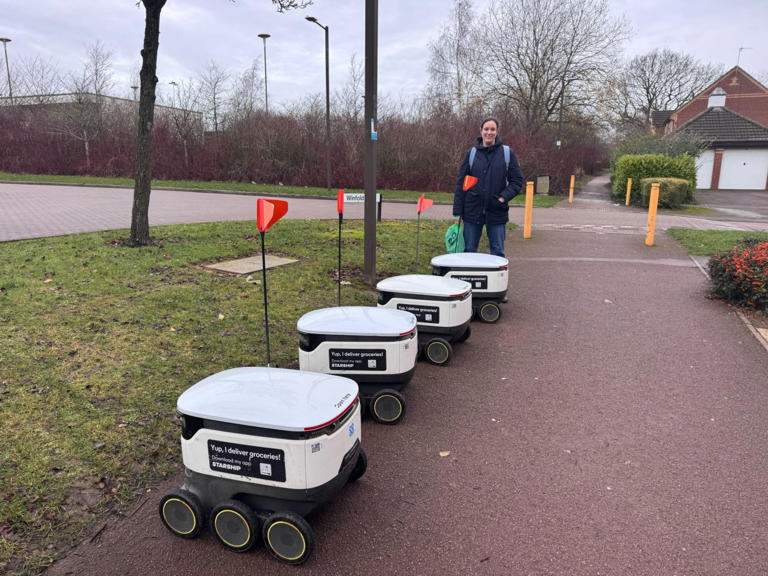 Milton Keynes: UK's original robot city