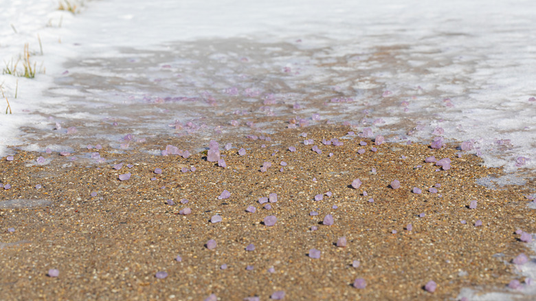 Using rock salt to melt ice on concrete? Make sure to avoid this common ...