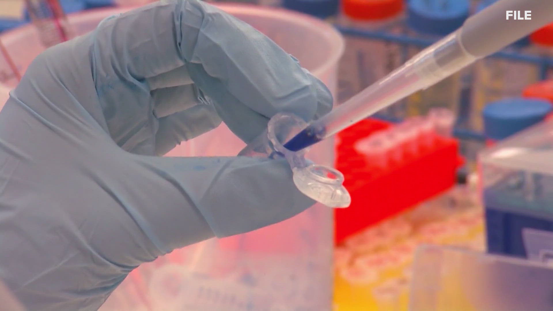 Some food preservatives linked to cancer, diabetes