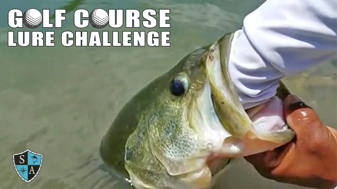 Bass fishing golf course challenge! SA lure test