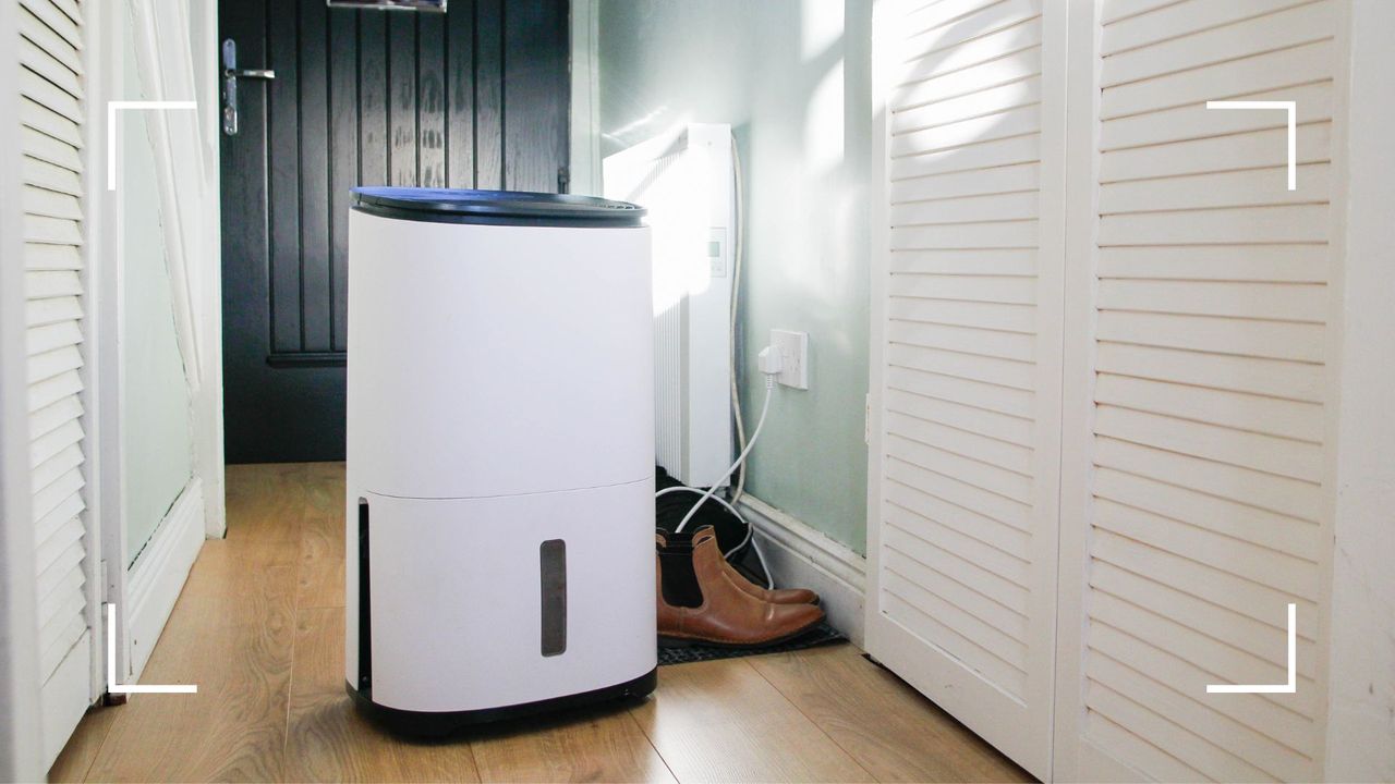 Has your dehumidifier stopped working in the cold weather? Mine did ...