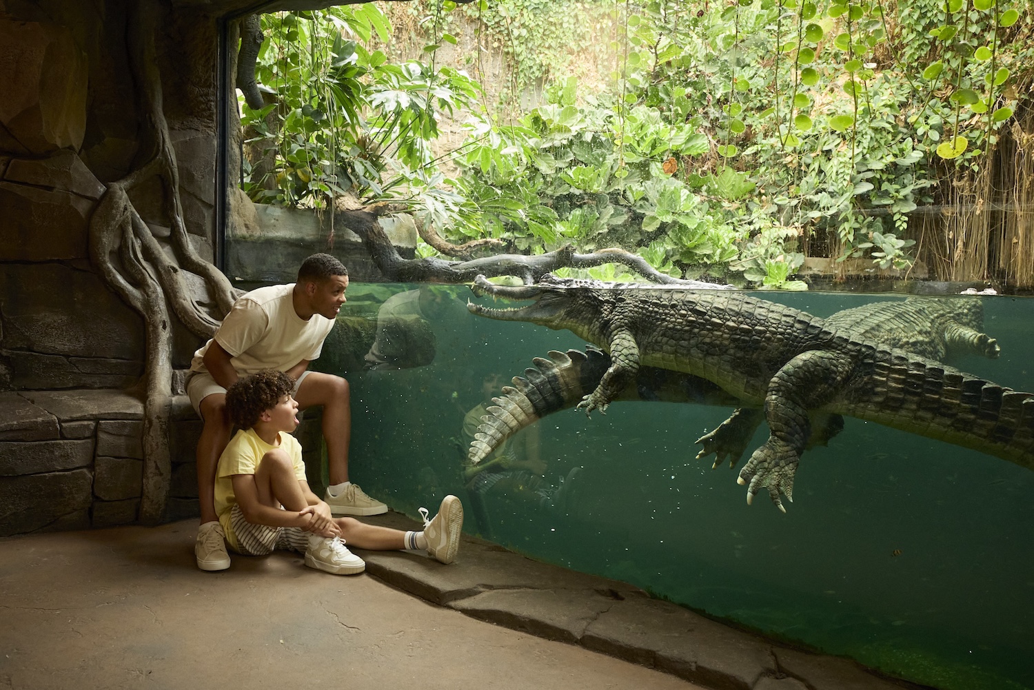 'Truly remarkable' year for Chester Zoo as it makes historic announcement