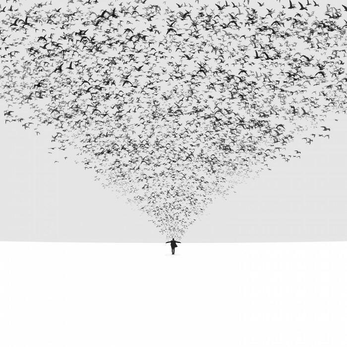 35 minimalist, evocative, and symbolic images of life by Hossein Zare