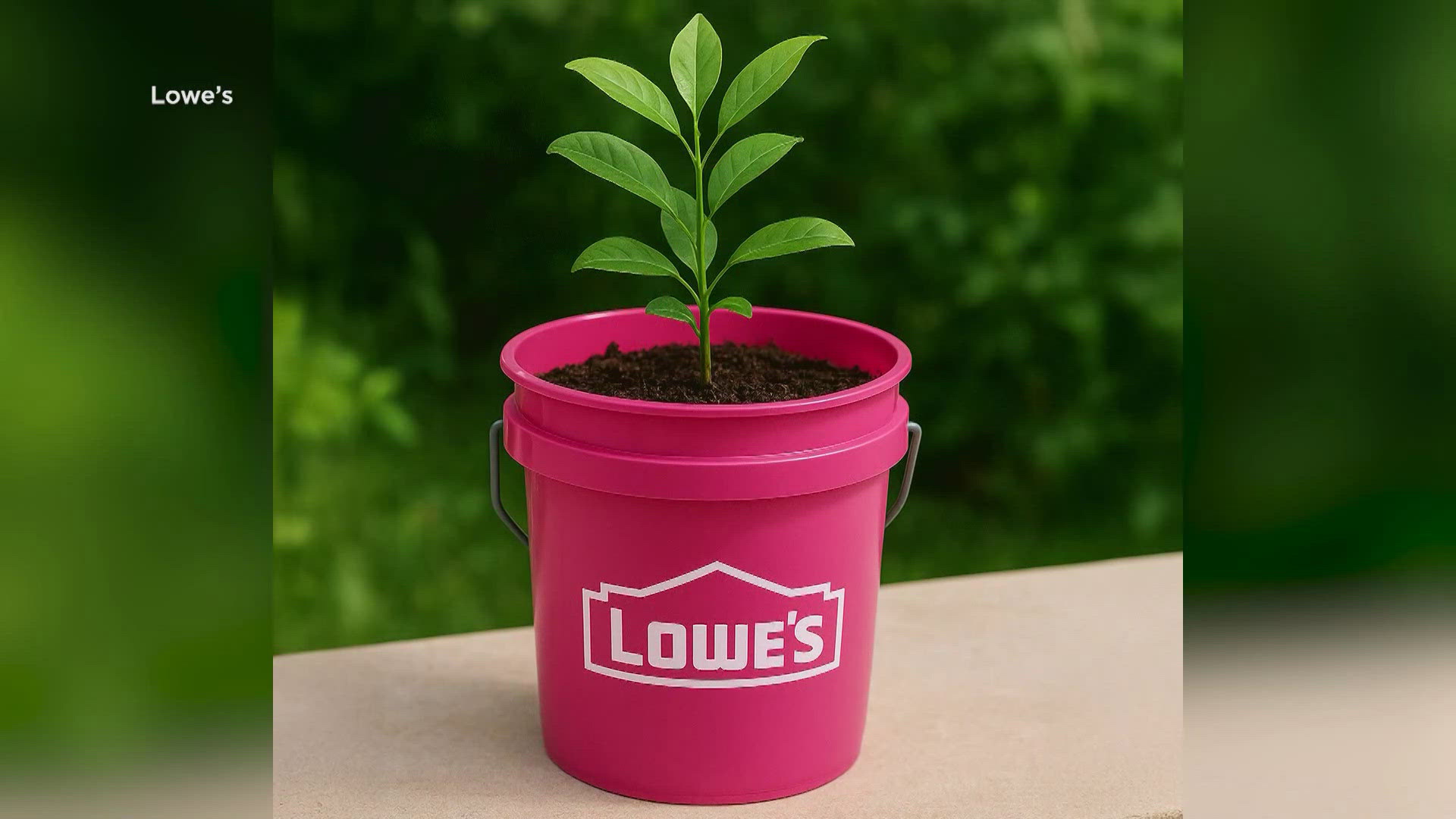Lowe's releases mini pink bucket ahead of Valentine's Day