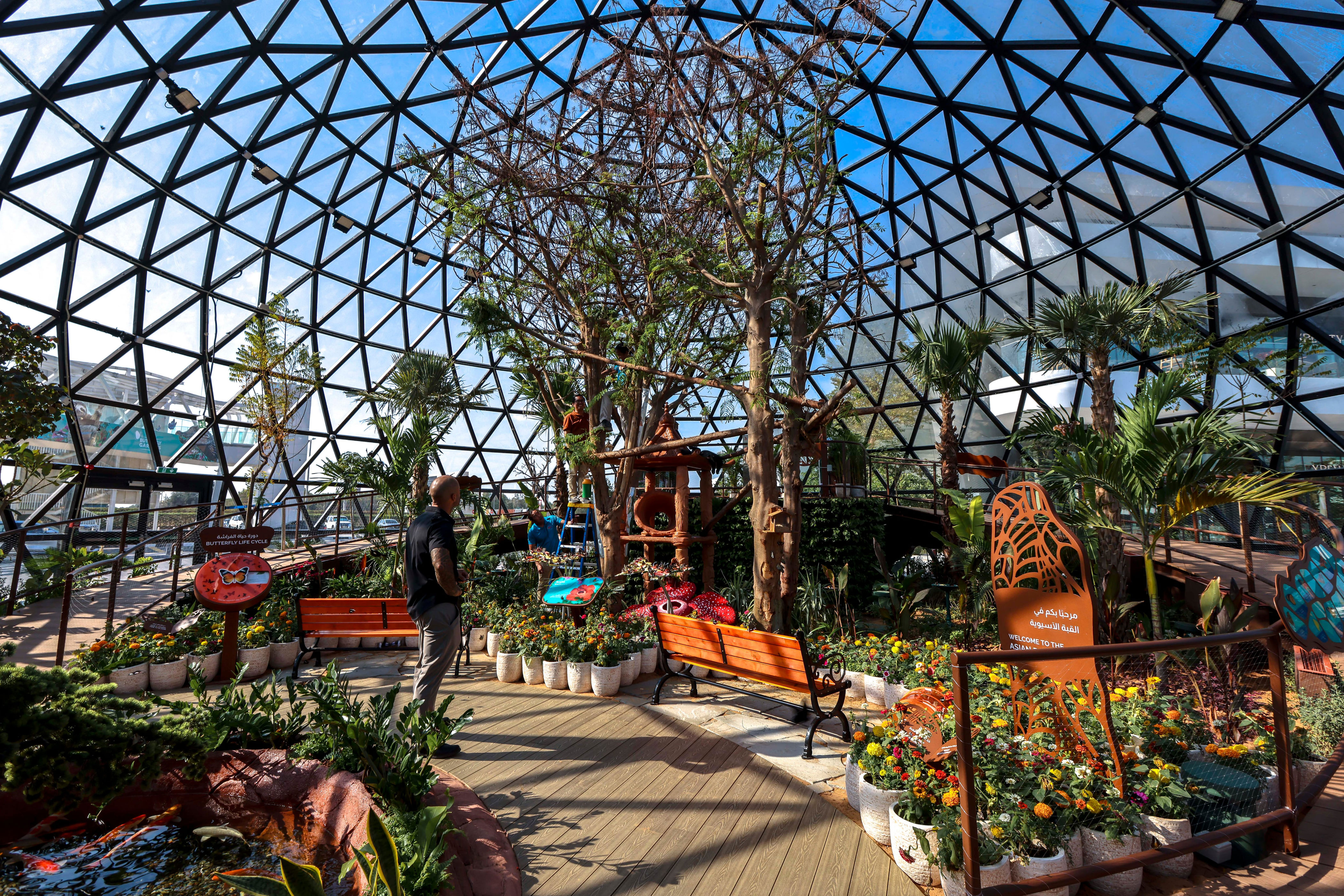 Inside the Butterfly Gardens Abu Dhabi, capital's new indoor wildlife ...