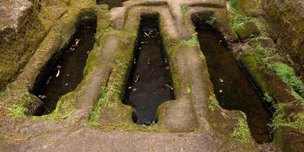 Amateur archaeologists found 1,100-year-old remains of three warriors ...