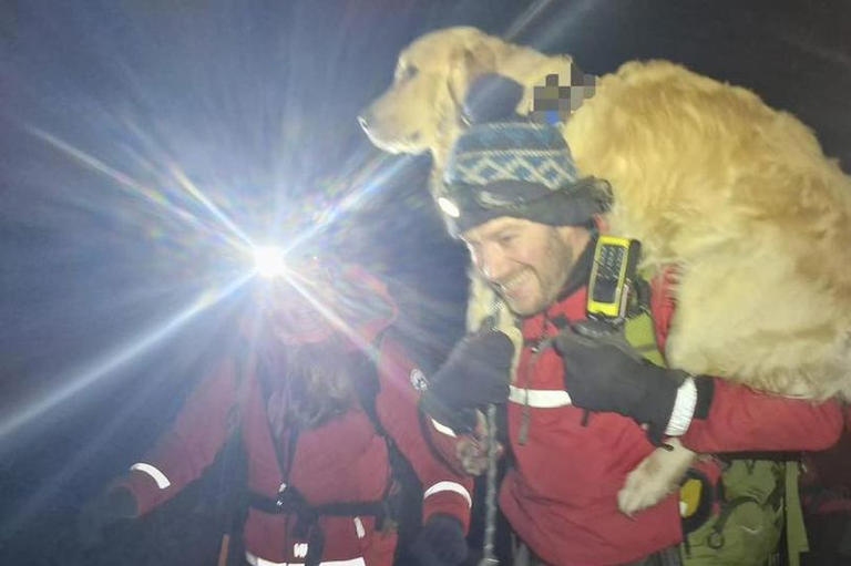 Remarkable scenes as mountain rescuers carry dog from snowy Peak ...