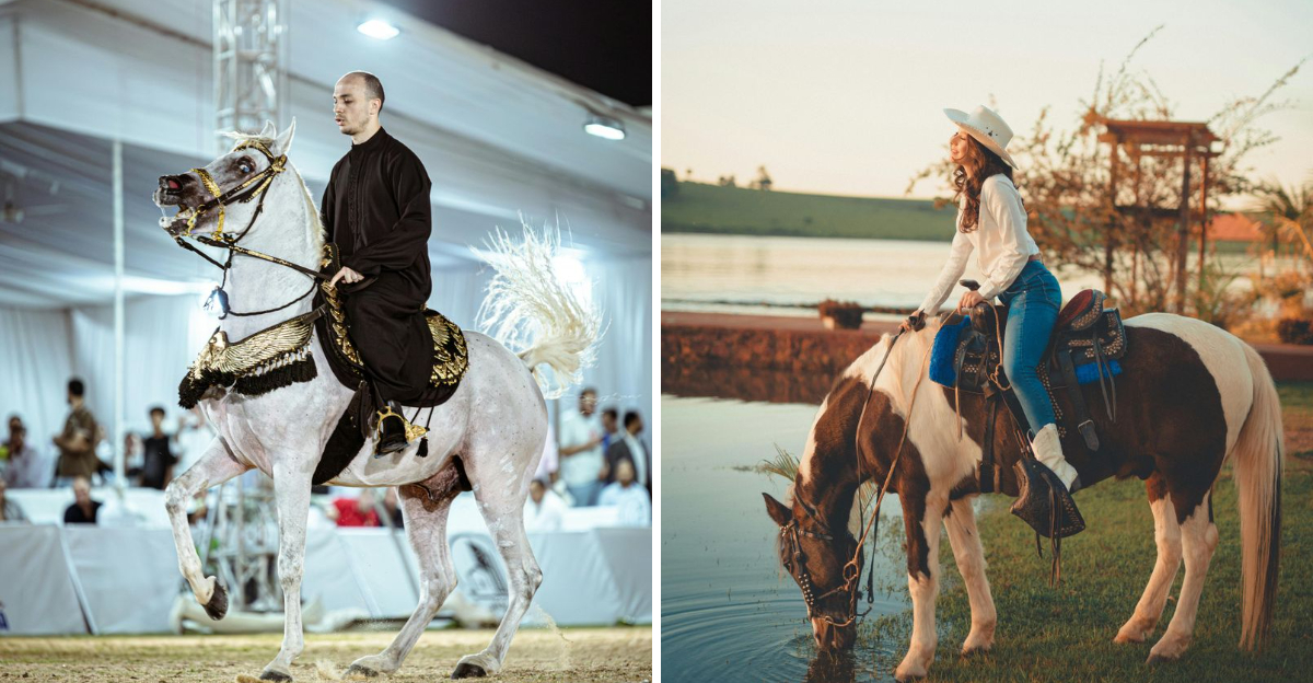 These are 9 of the best horse breeds for riding