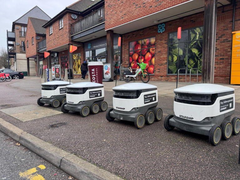Milton Keynes: UK's original robot city