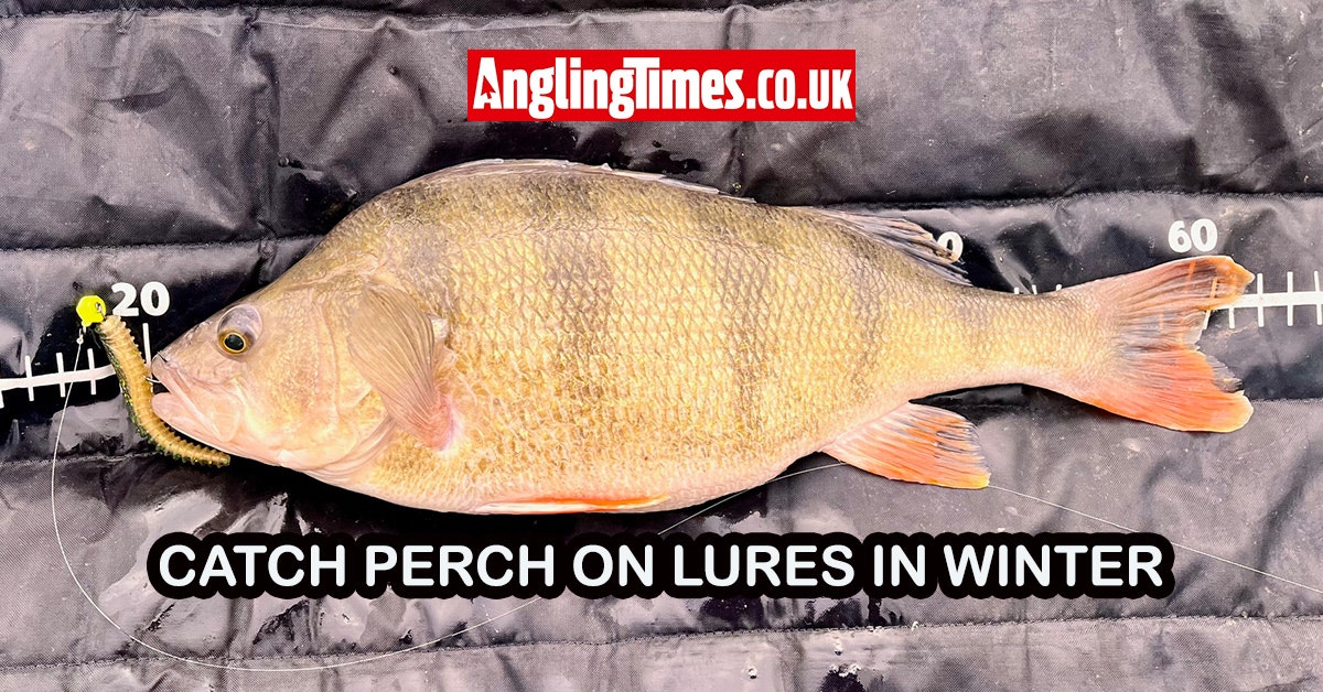 7 tips to catch more perch on lures this winter