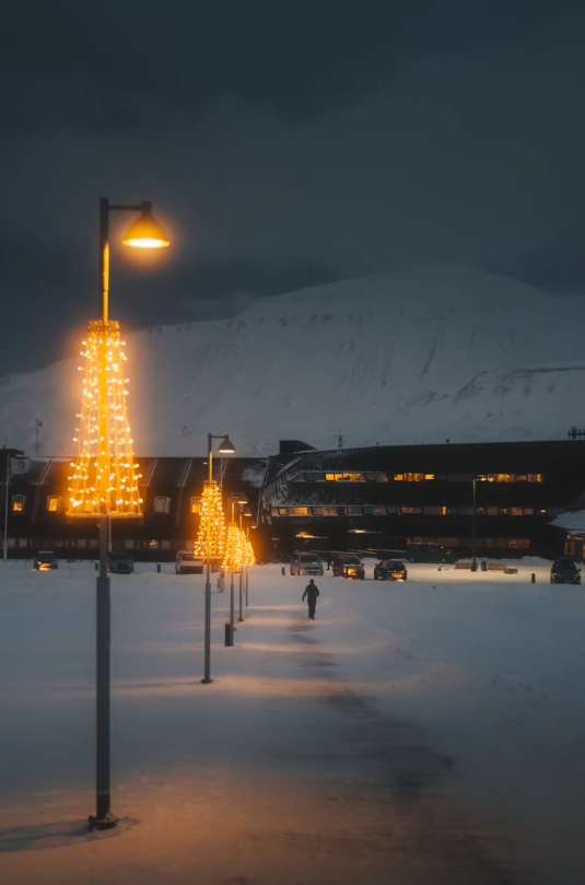 Life during 24-hour darkness in Svalbard