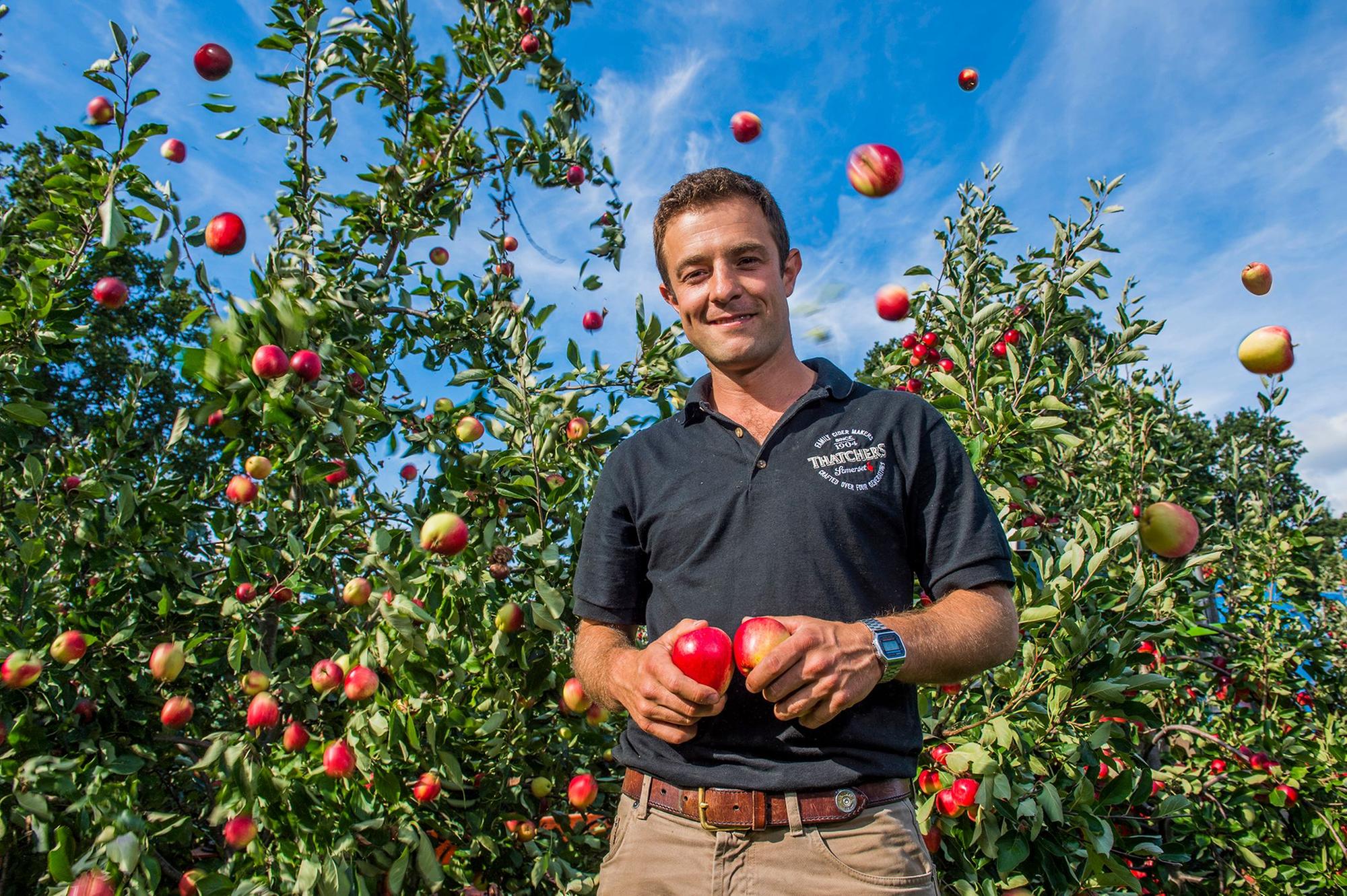 Thatchers Cider on hunt for West Midlands community groups in major ...