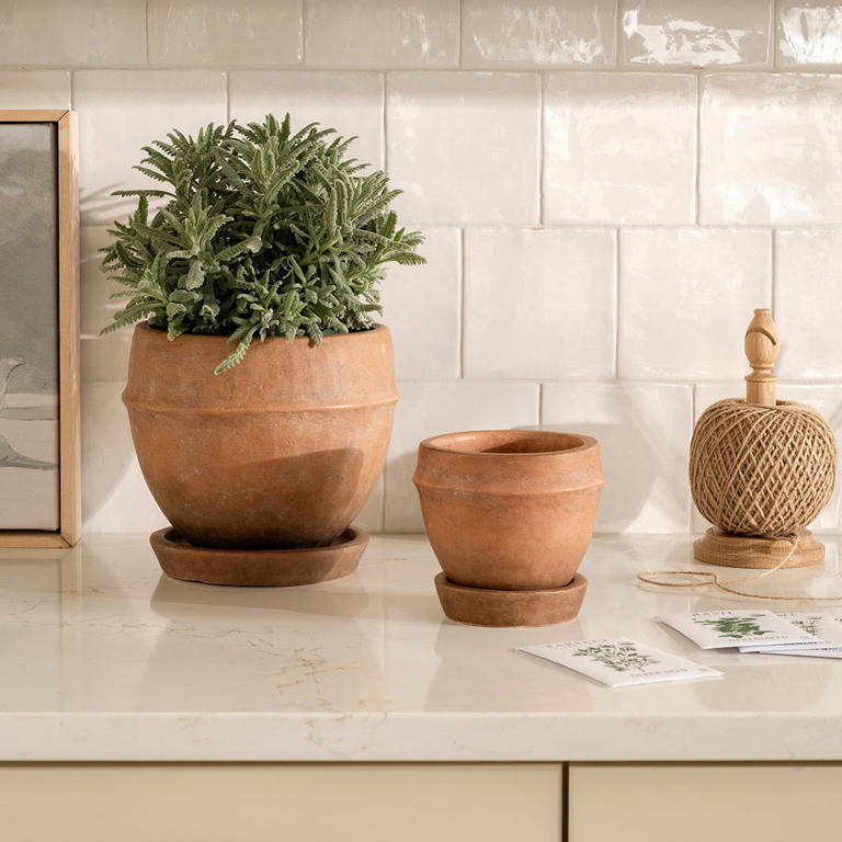 Design lovers are swapping out whites and grays for expressive ...