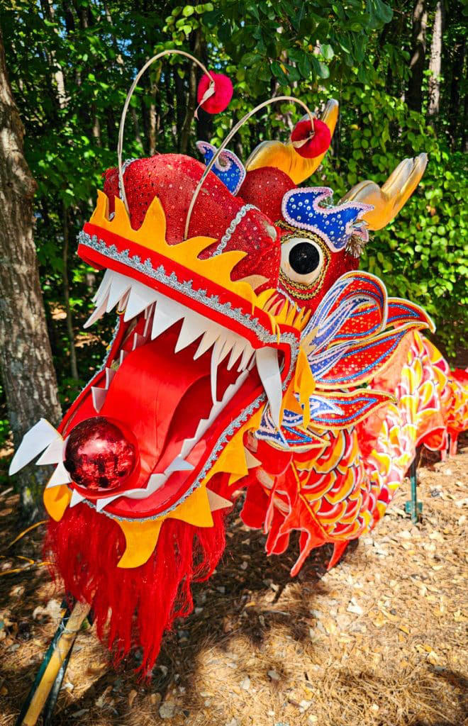 Best things to do in Raleigh this weekend (Jan 19 – Jan 25, 2026)