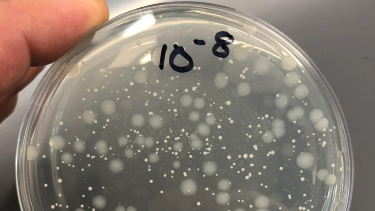 Ancient life form roars back after 40,000 years from Alaskan permafrost