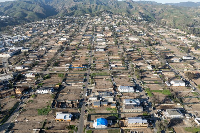 Locals wanted to rebuild Pacific Palisades, Altadena. Then the big ...