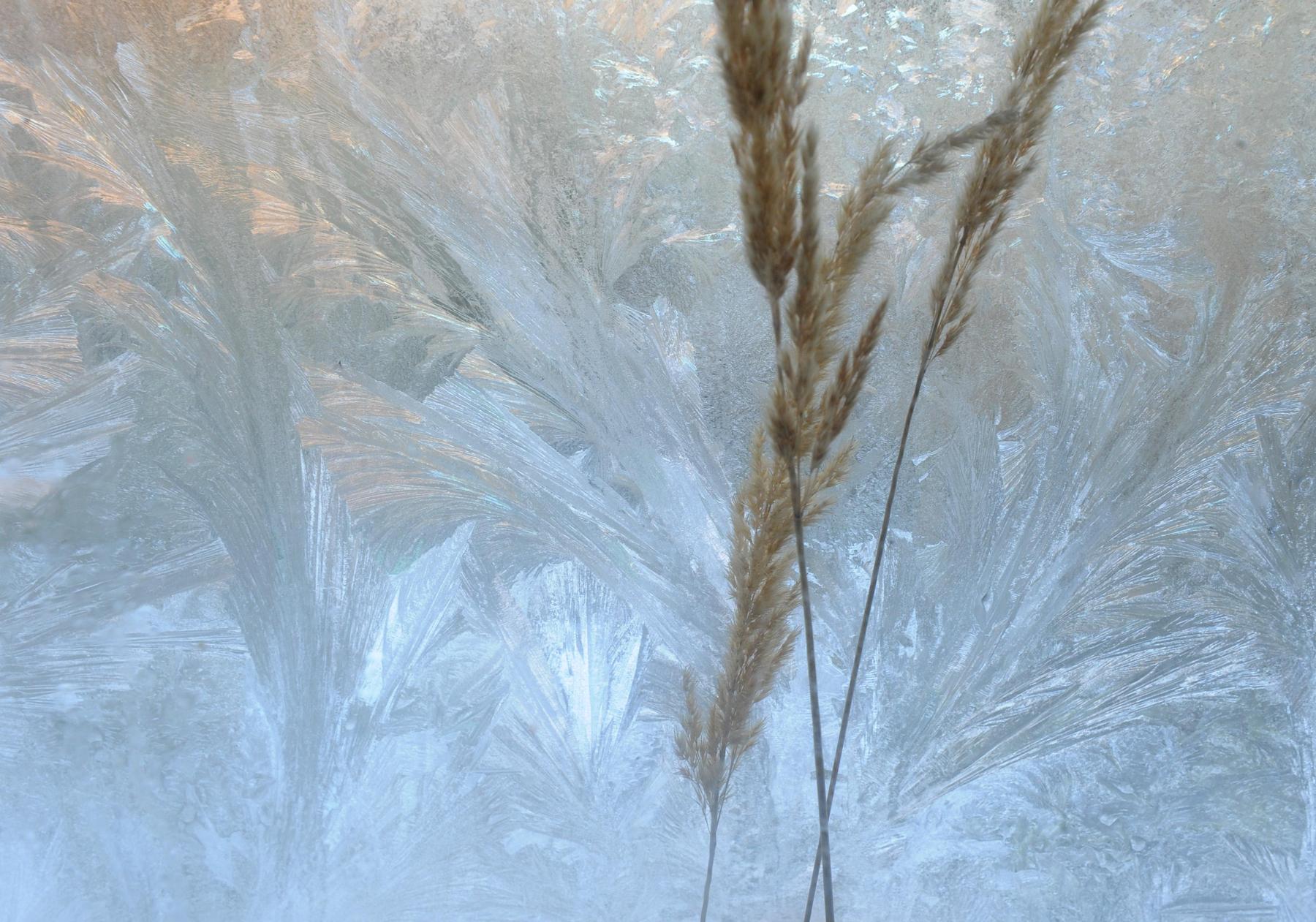 Bis zu minus 27,9 Grad: Es bleibt frostig in Österreich