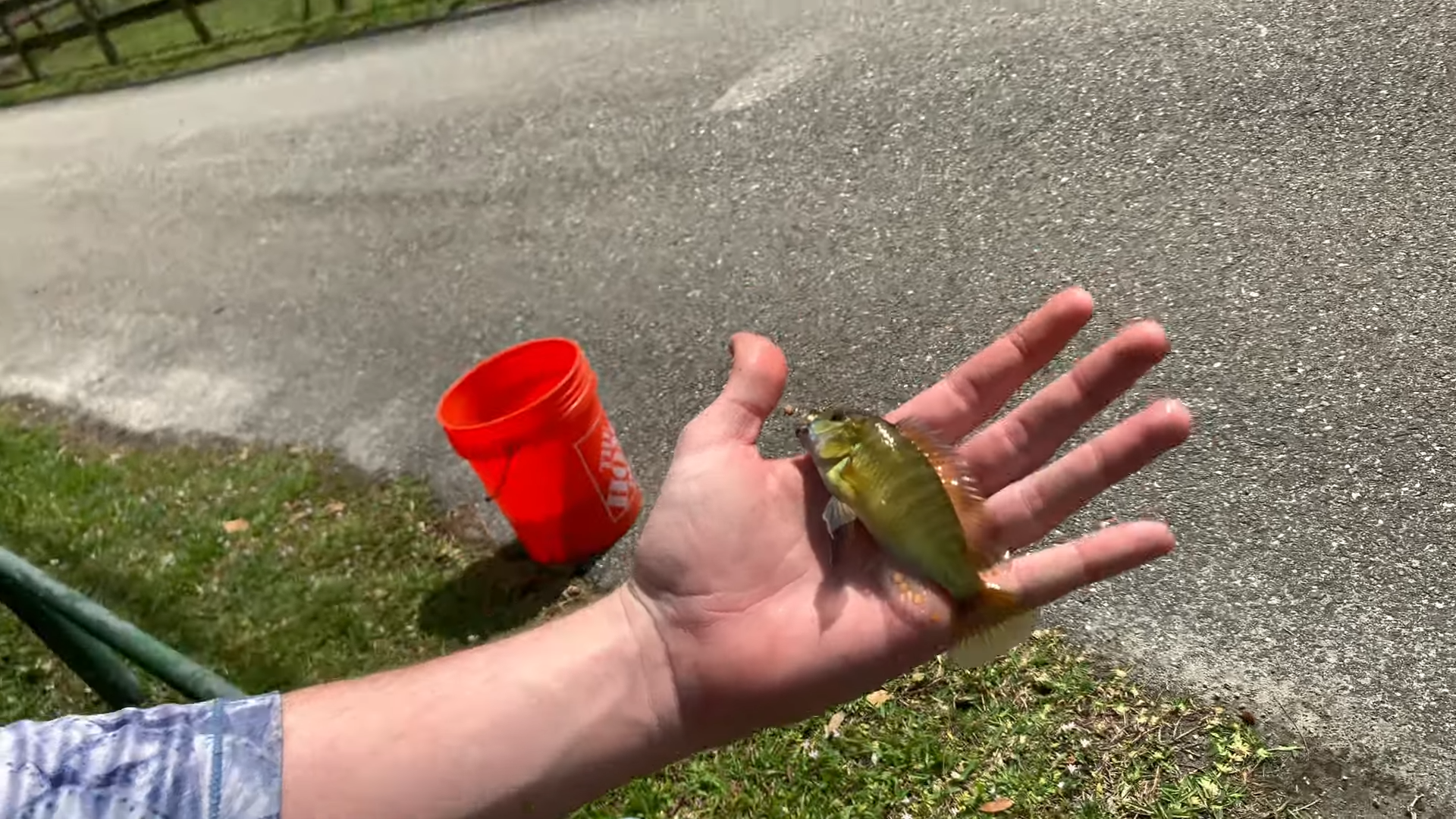 You won’t believe the exotic fish caught with this mini rod