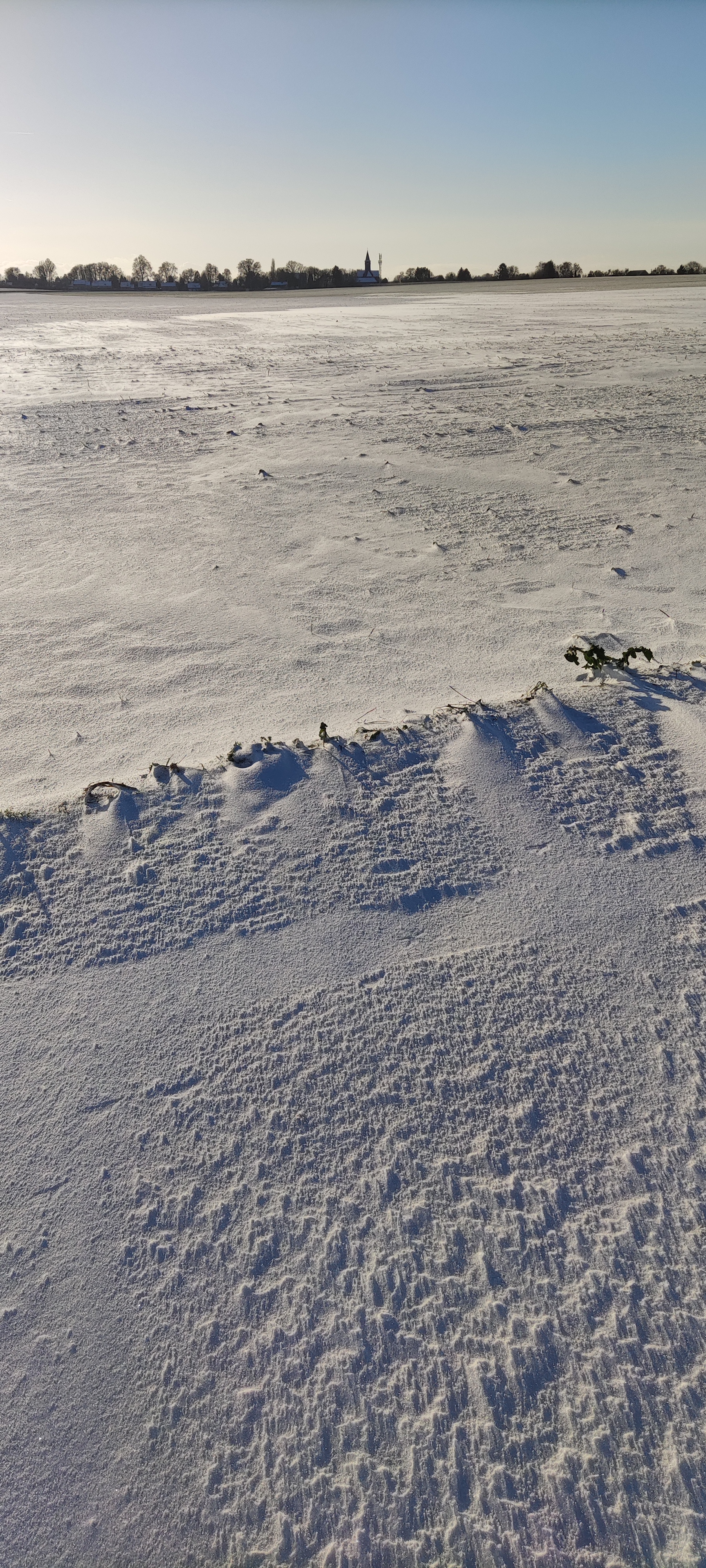 Hibernation mentale et physique