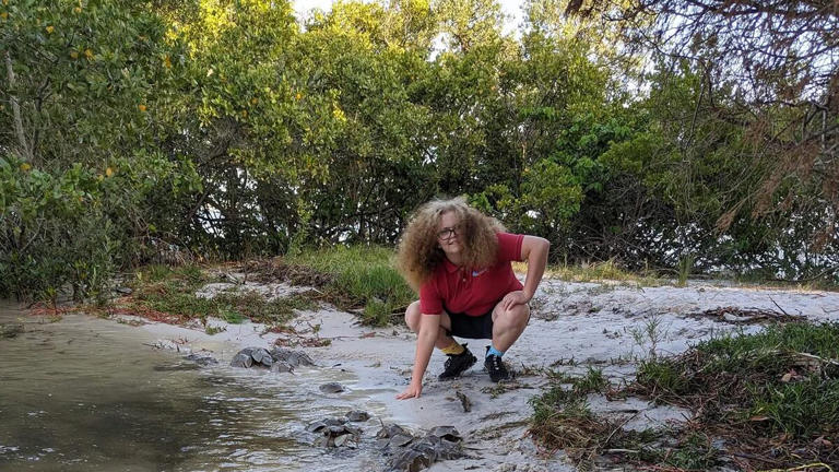 Ancient horseshoe crabs face human threats. A new lawsuit aims to ...