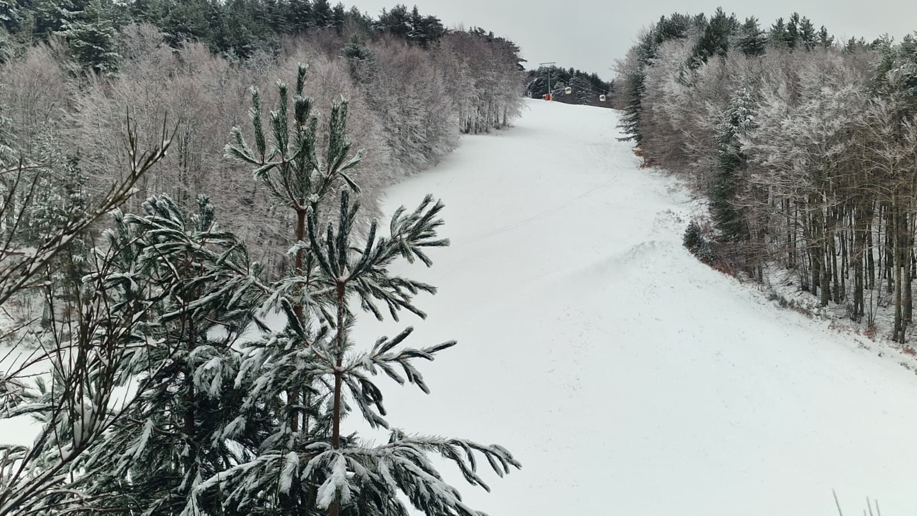 Freddo e neve in Calabria, a Camigliatello 38 centimetri di manto bianco