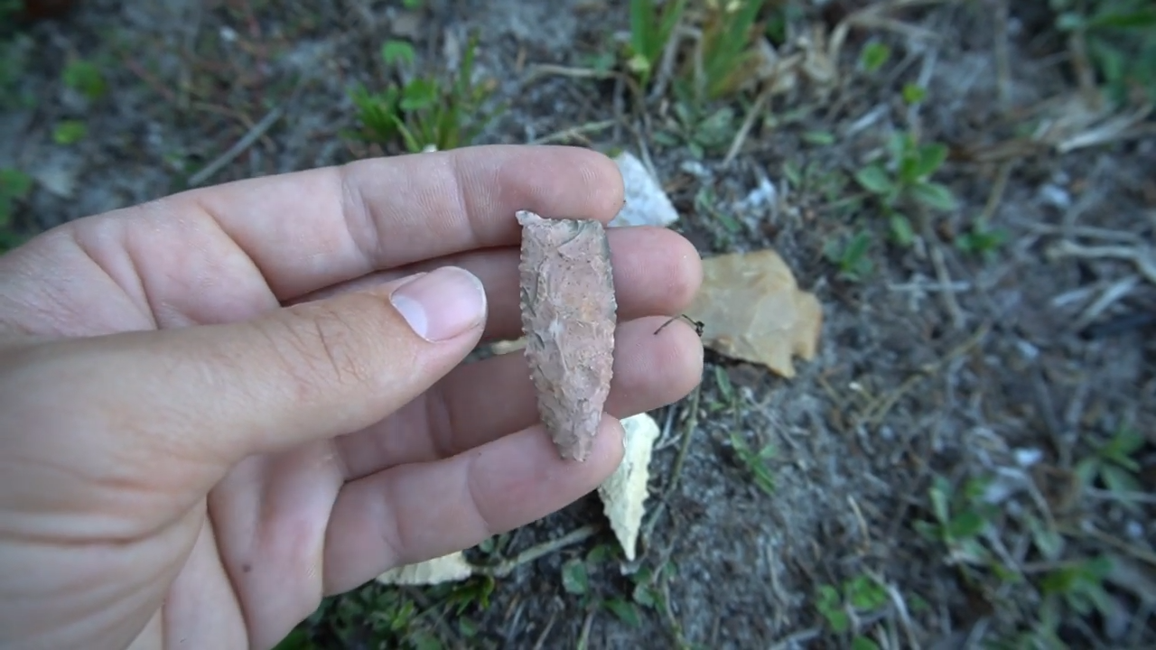 This Georgia field reveals Native American history