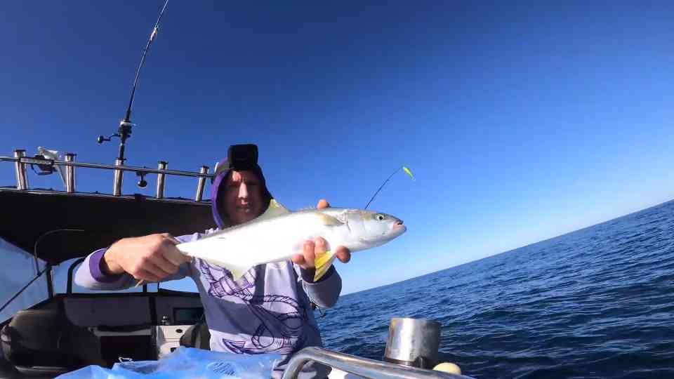 New lure hits the water and big fish hit back