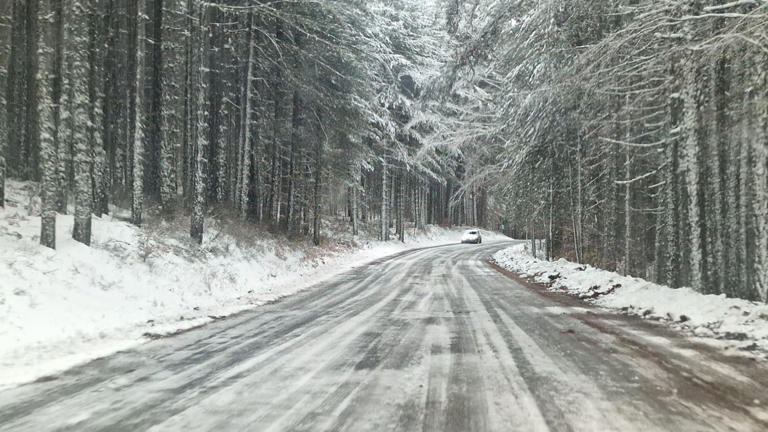 Freddo e neve in Calabria, a Camigliatello 38 centimetri di manto bianco