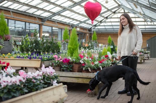 'Paw-fect' Valentine's event to take place at garden centre