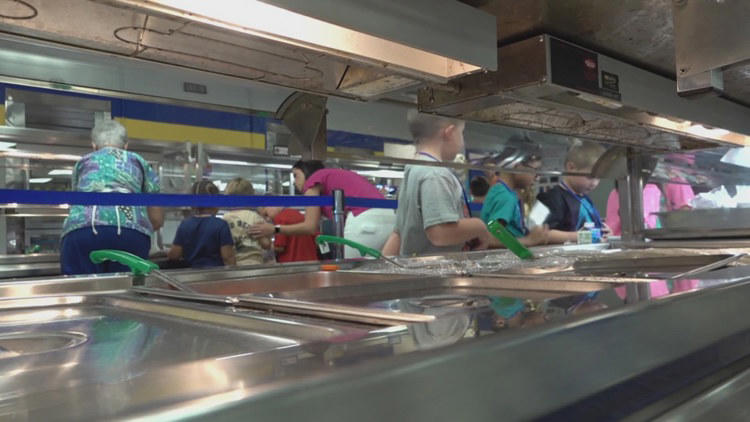 Parents, advocates react to TN governor opting out of federal summer ...