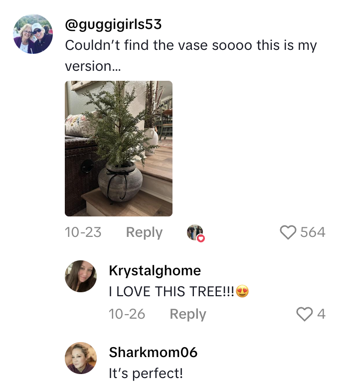 Customers showed off the Hobby Lobby pot that went viral for holiday ...