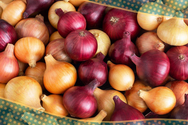 Red onion vs. yellow onion: An expert explains the difference