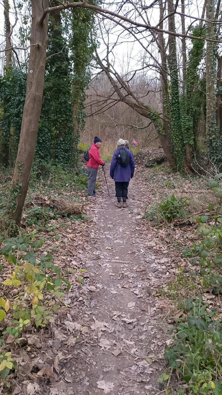 Lewes Footpaths Group walk report Sunday 28 December 2025