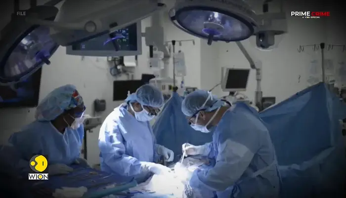 Farmer's high debt helps unravel pan-India organ racket with trails in ...