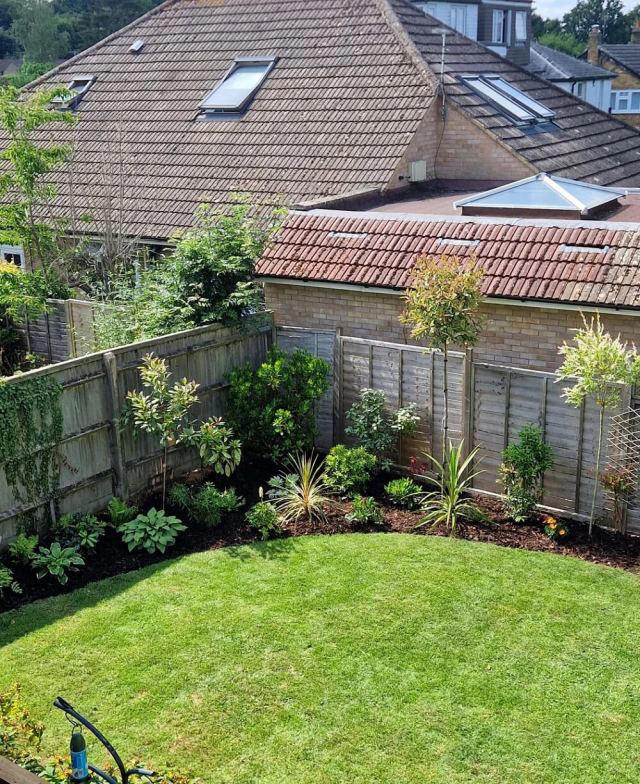 Gardener shares before-and-after photos of 'fabulous' lawn ...
