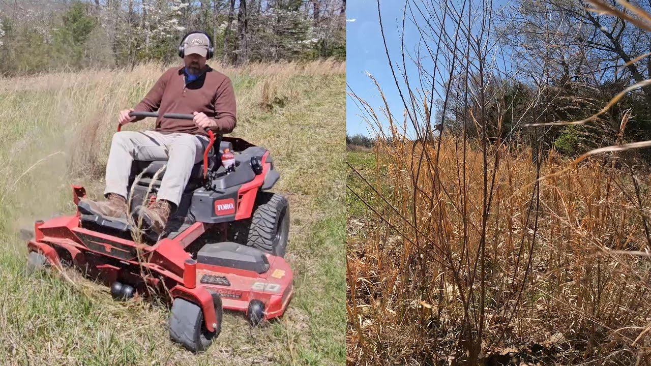 Toro Titan 60" farm grade vs. 3-foot overgrown field!