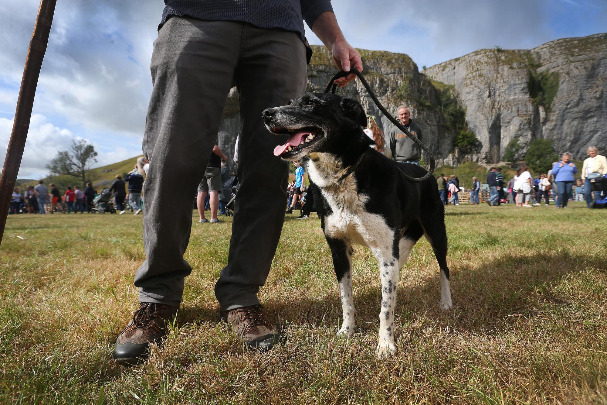 New Year’s resolutions not easy but they can be a walk in the park ...