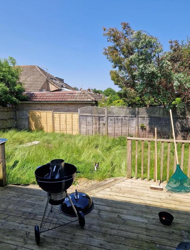 Gardener shares before-and-after photos of 'fabulous' lawn ...