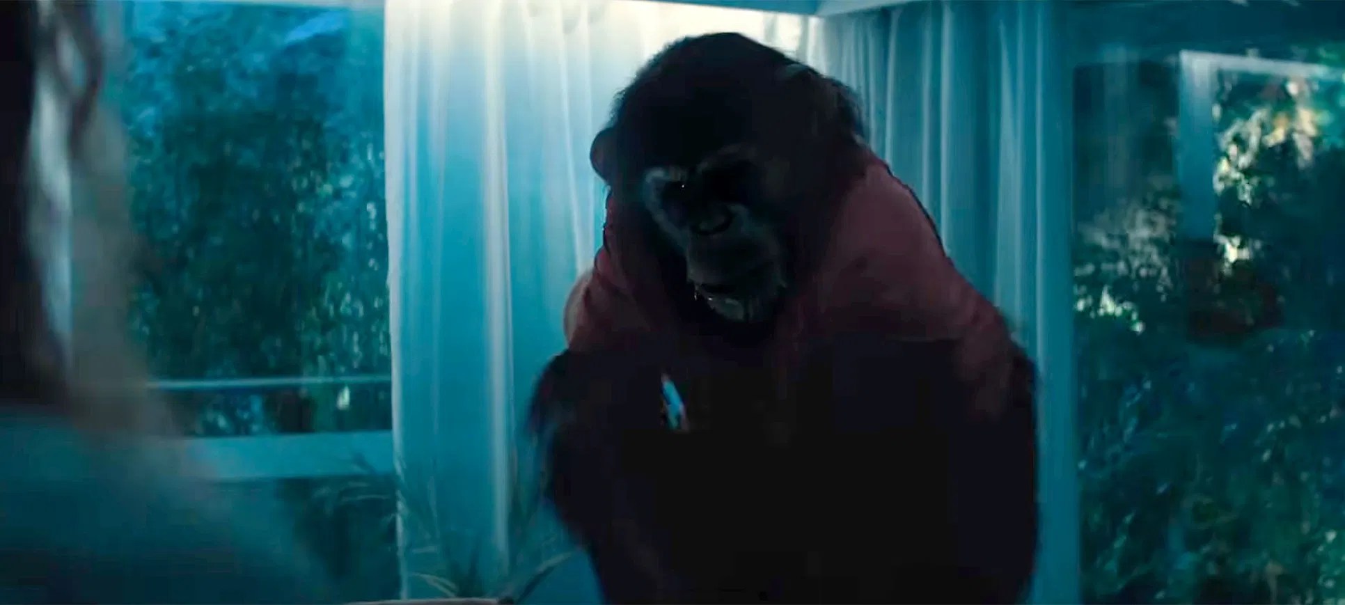 'Primate' review: Killer chimp horror tale is jaws-breakingly familiar ...