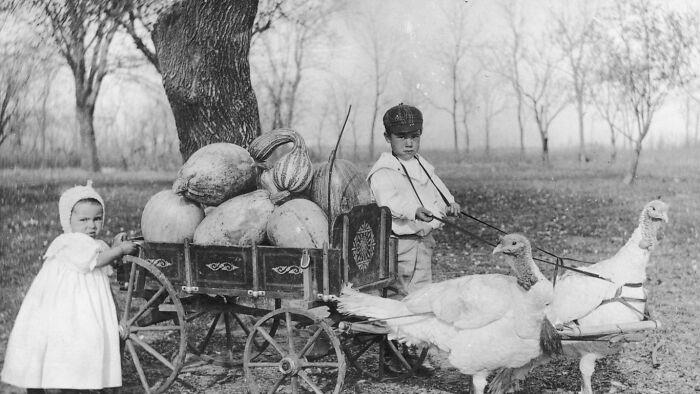 39 rare glimpses into 19th century America through historic photographs