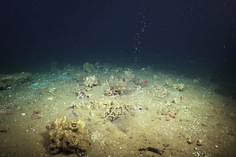 Methane chasers: Hunting a climate-changing gas seeping from Earth’s ...